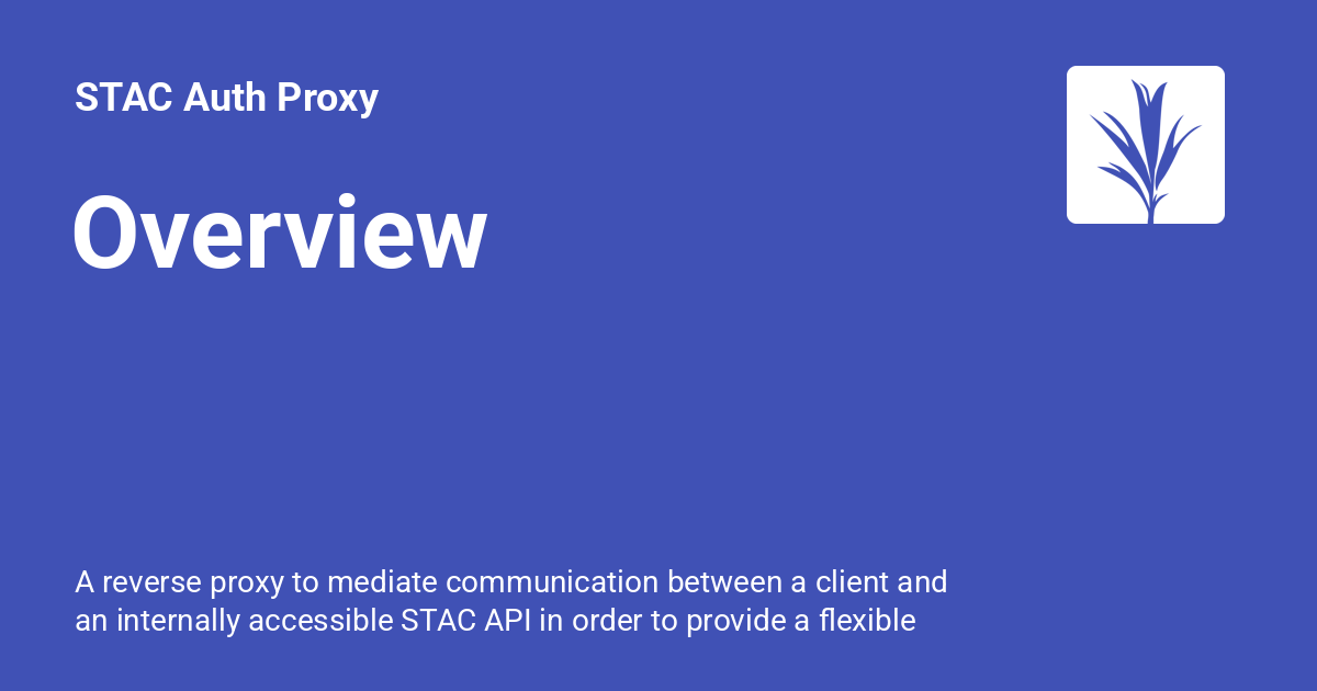 STAC Auth Proxy