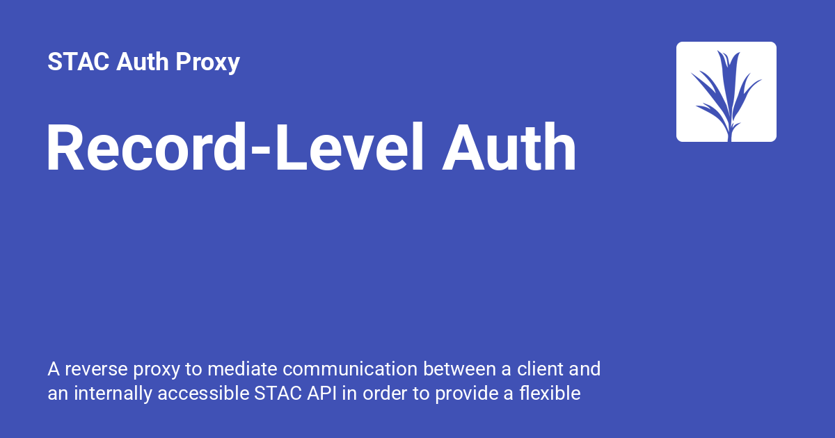 Record-Level Auth - STAC Auth Proxy